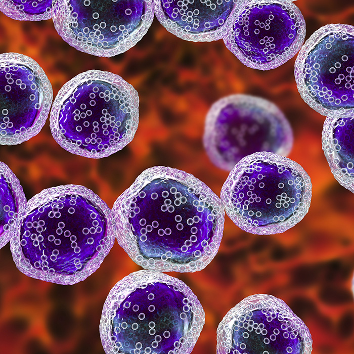 ApoGen Biotechnologies – Accelerator